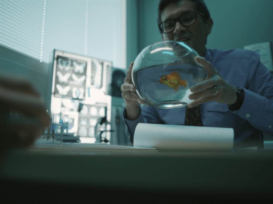 แพรรี่ ธัญพิชชา ไตรวุฒิ จากสถาปัตย์สู่วงการภาพยนตร์