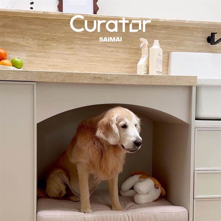 คิวเรเตอร์ สายไหม CURATOR SAIMAI บูทีคทาวน์โฮมใหม่ ย่านสายไหม